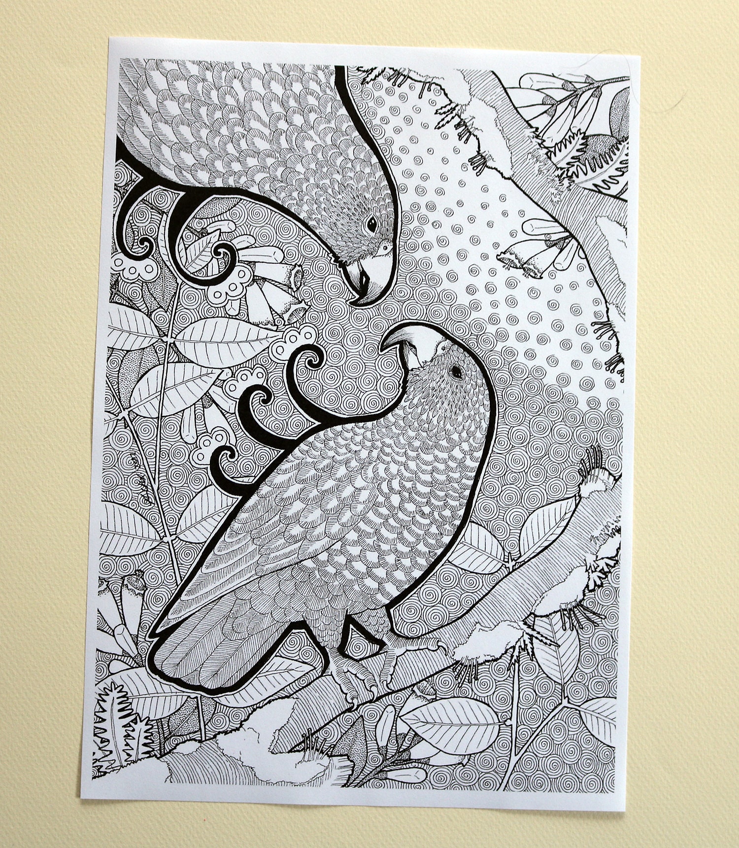 New Zealand Kaka Digital Coloring Page. Instant Download. Printable ...