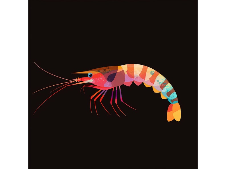 Shrimp Png PNG Cut Files For, Digital Download, Printable Clipart ...