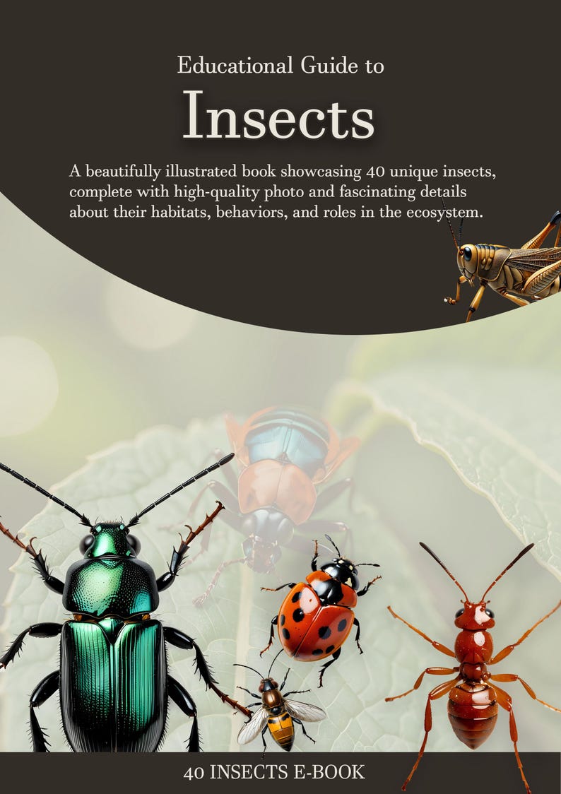 Educational Insects Guide Bundle: 40 Insects Book, Quiz & Coloring ...