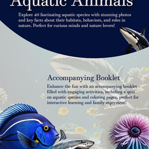 Educational Aquatic Animals Guide Bundle: 40 Aquatic Animals Book, Quiz ...