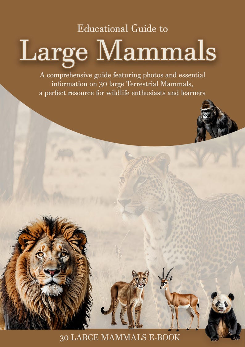 Large Mammals Guide Bundle: Book, Quiz, Poster & Coloring (digital ...