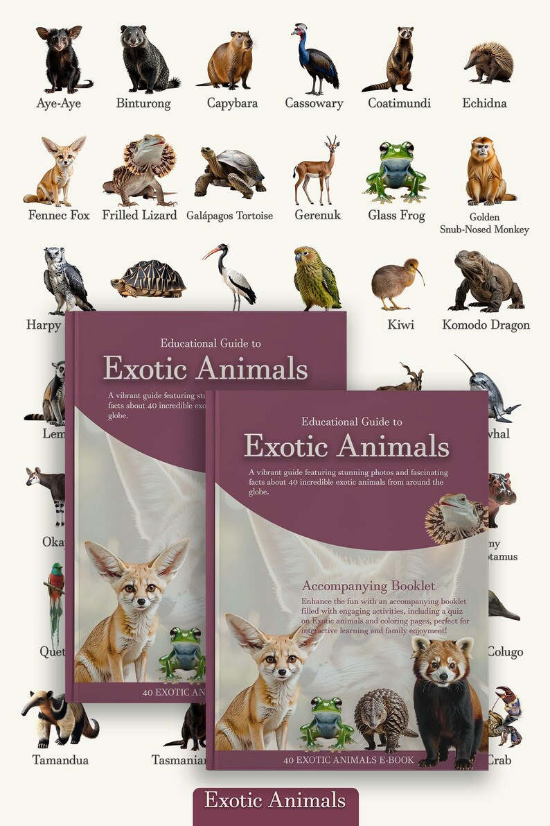 Exotic Animals Guide Bundle: E-book, Quiz, Poster (digital Prints) - Etsy