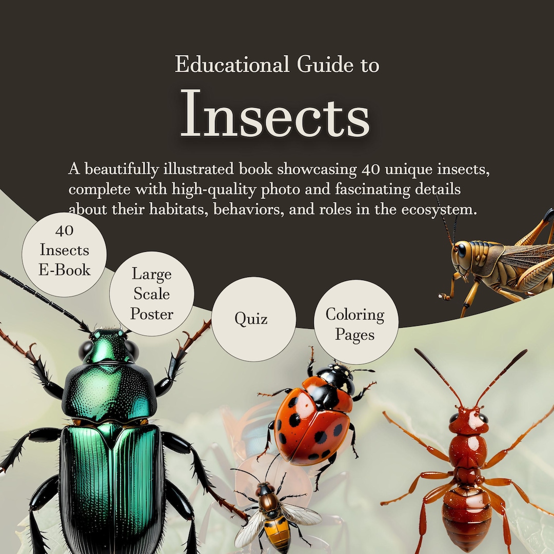 Educational Insects Guide Bundle: 40 Insects Book, Quiz & Coloring ...