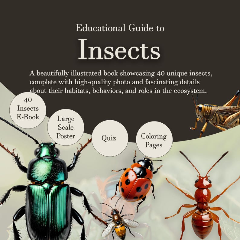 Educational Insects Guide Bundle: 40 Insects Book, Quiz & Coloring ...
