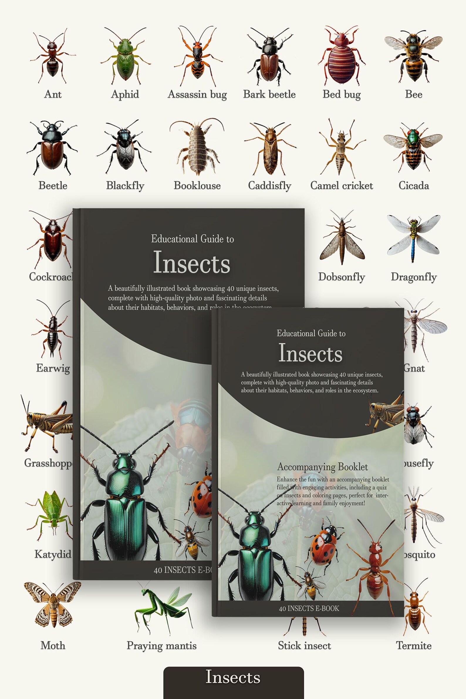 Educational Insects Guide Bundle: 40 Insects Book, Quiz & Coloring ...
