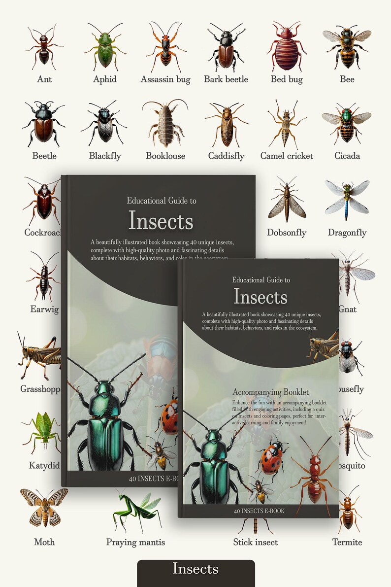 Educational Insects Guide Bundle: 40 Insects Book, Quiz & Coloring ...