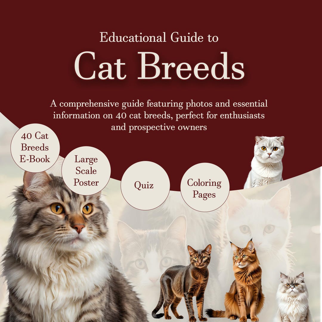 Educational Cat Breed Guide Bundle: 40 Breeds Book, Quiz & Coloring ...