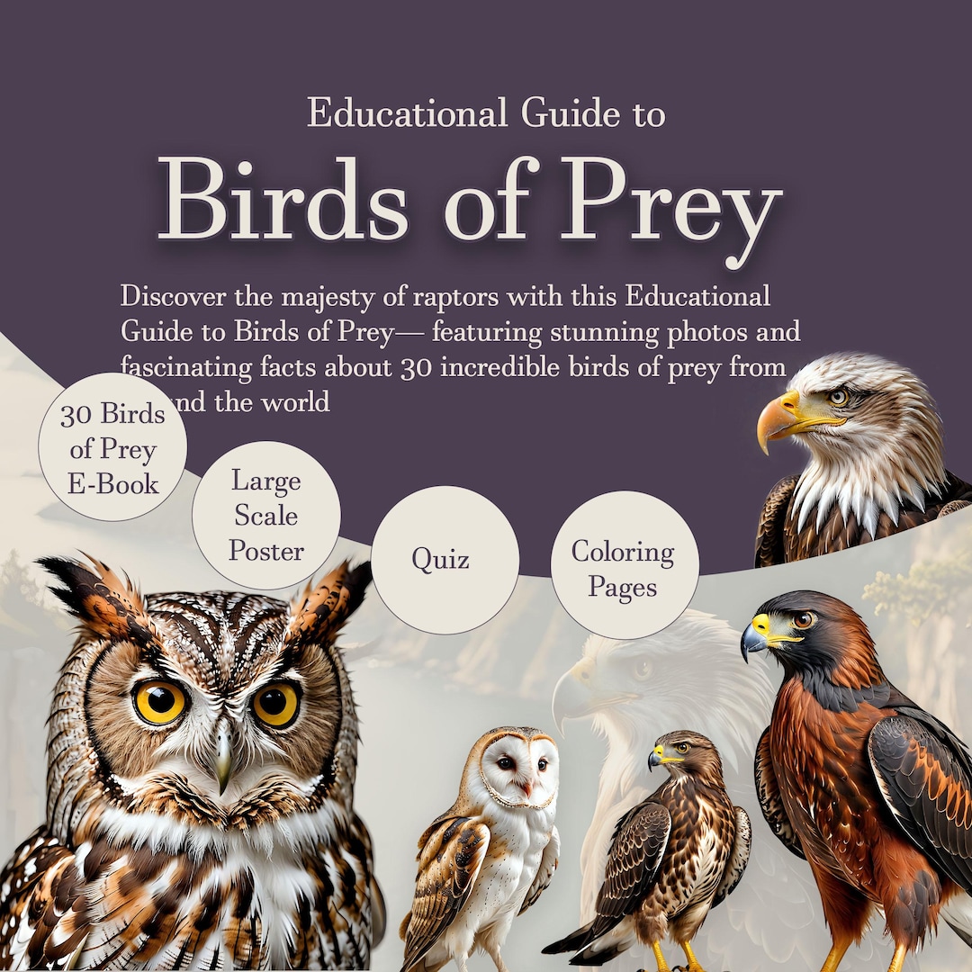 Educational Birds of Prey Guide Bundle: 30 Birds Book, Quiz & Coloring ...