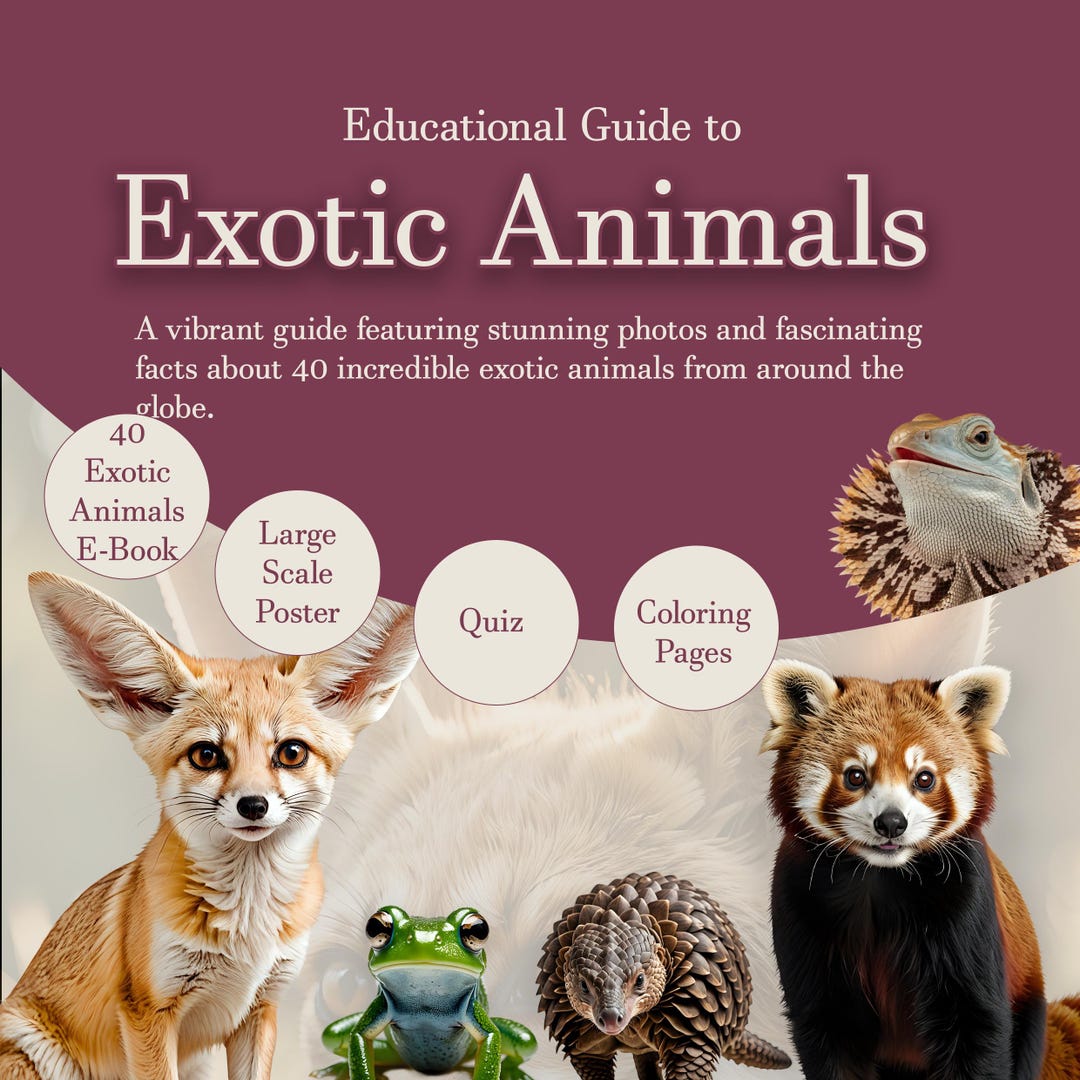 Exotic Animals Guide Bundle: E-book, Quiz, Poster (digital Prints) - Etsy