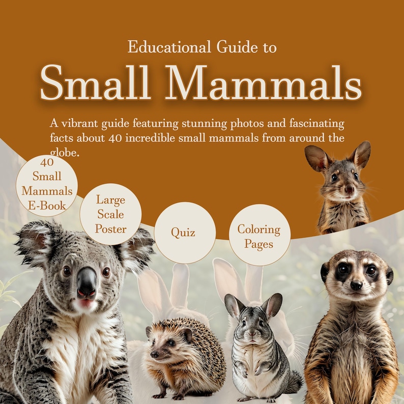 Educational Small Mammals Guide Bundle: 40 Small Mammals Book, Quiz ...