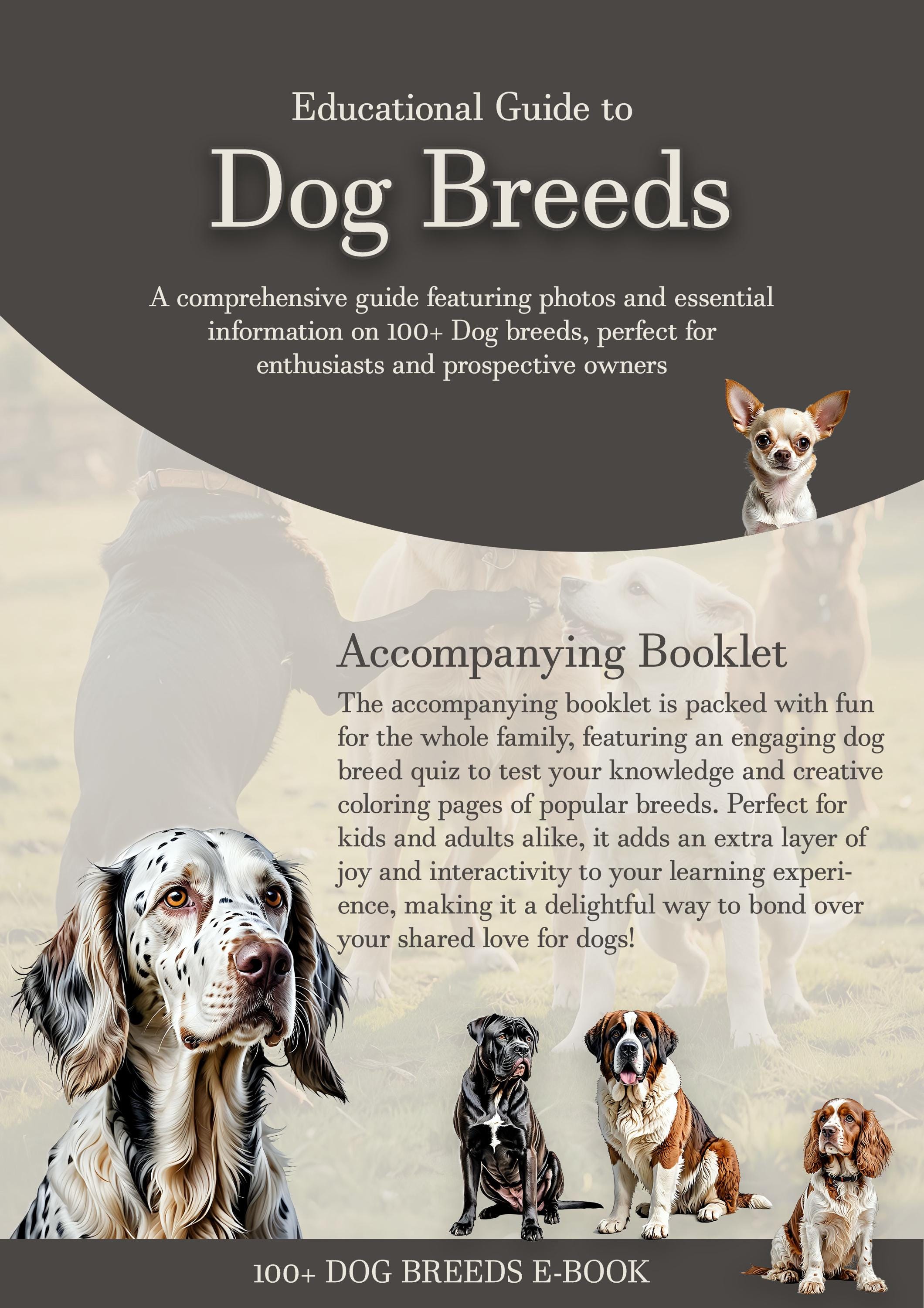 Dog Breed Guide For Kids