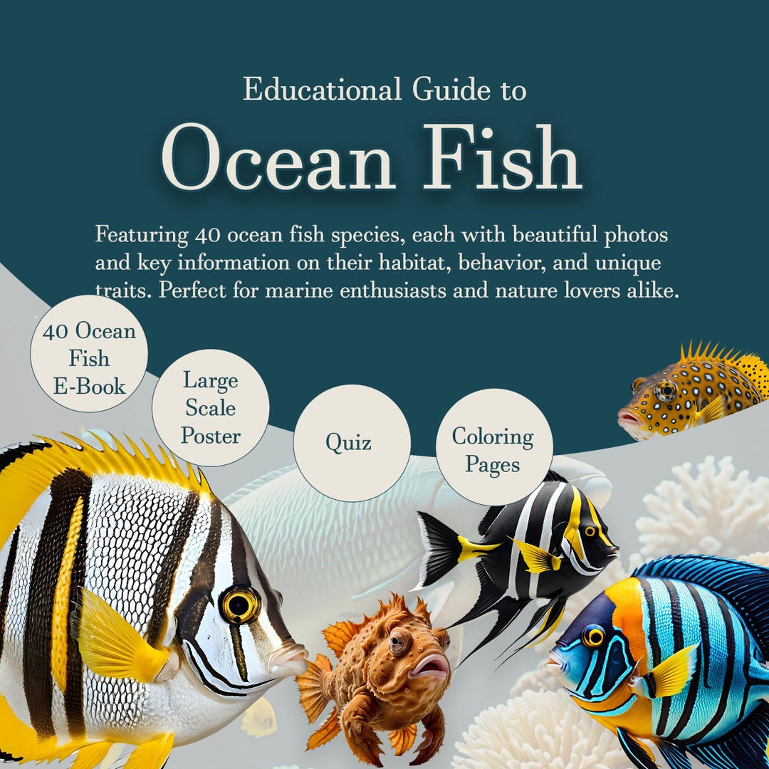 Educational Ocean Fish Guide Bundle: 40 Ocean Fish Book, Quiz ...
