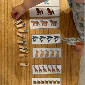 Animal Counting Cards - Etsy