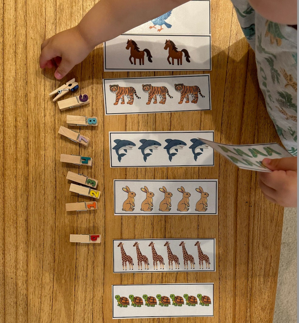 Animal Counting Cards - Etsy
