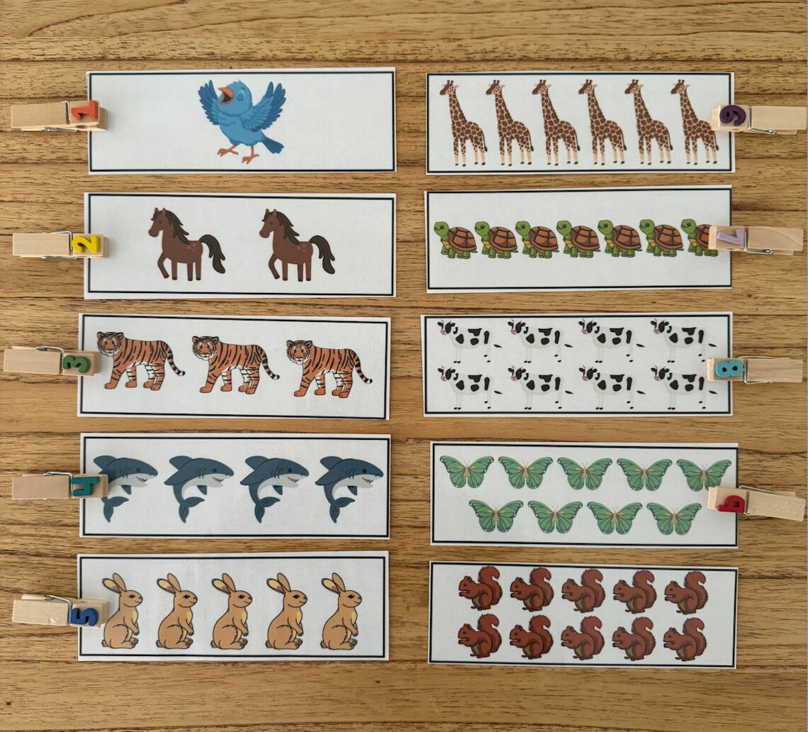 Animal Counting Cards - Etsy