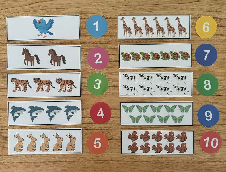 Animal Counting Cards - Etsy