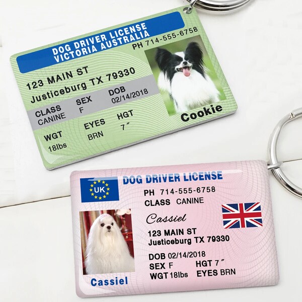 Dog Driver License - Etsy