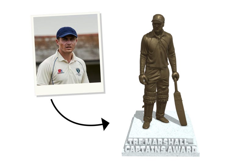 Cricket Statue Trophies, Custom Made and Personalized for Awards ...