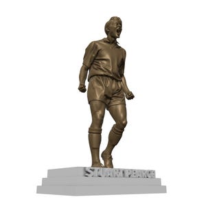 Stuart Pearce – Player Statue (england, Manchester City & Nottingham ...