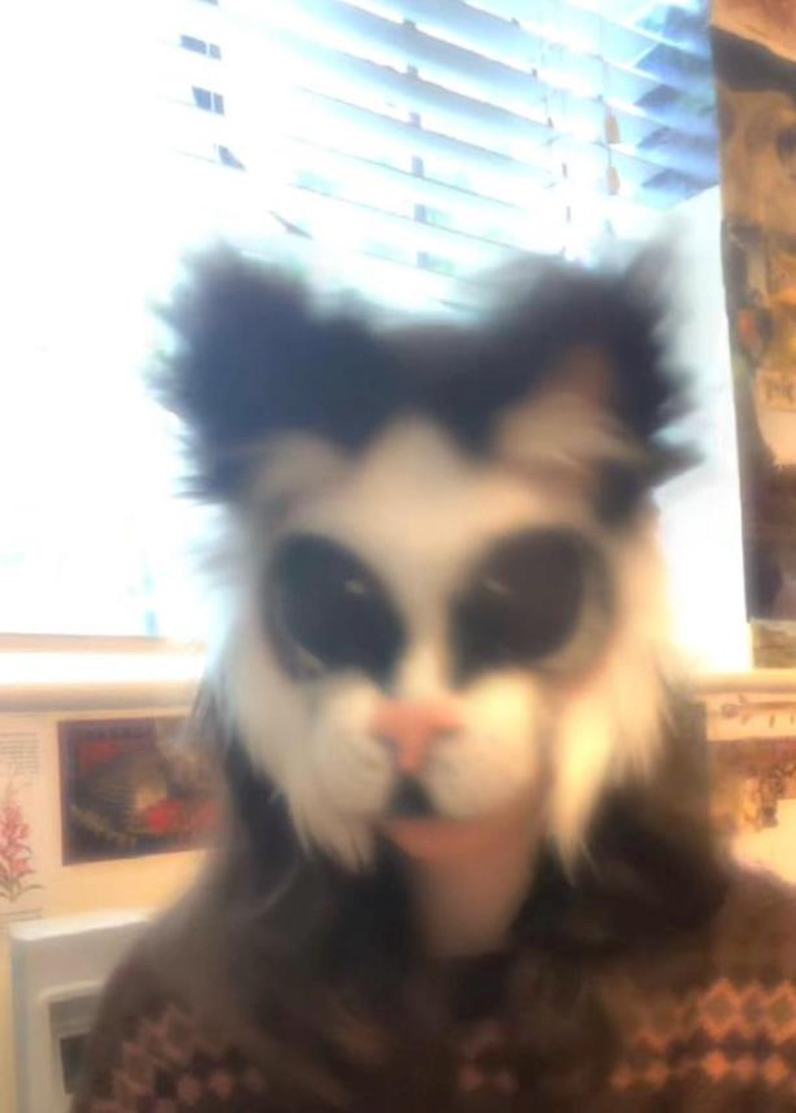 Therian Mask Quadrobics Gear Alterhuman Possum Cat Furry Fursuit Head ...