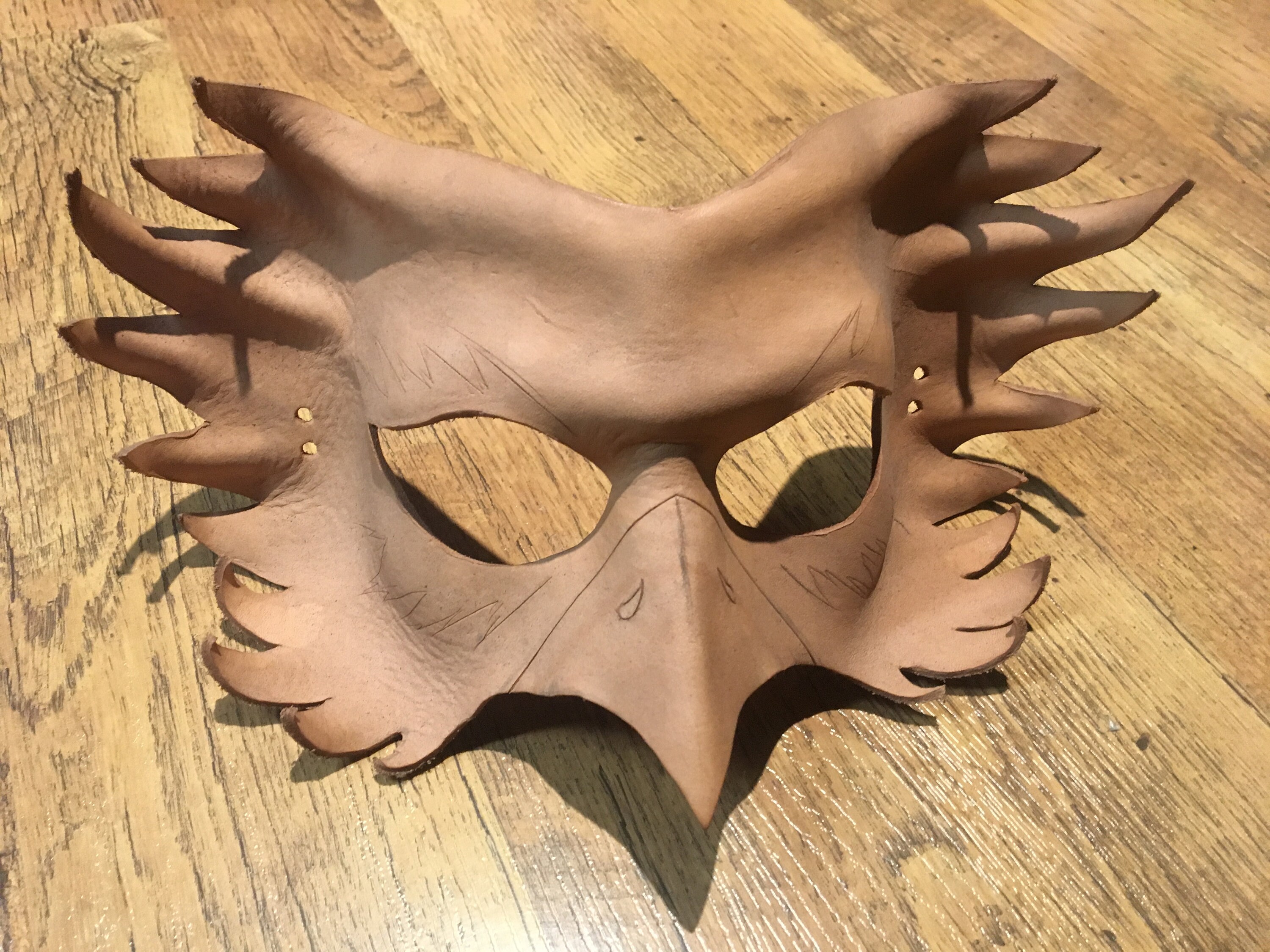 Unfinished leather bird mask
