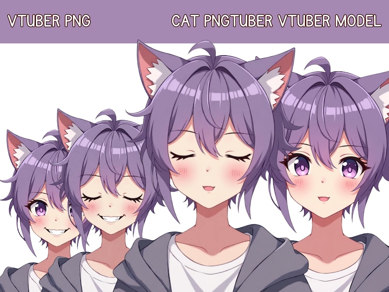 Pngtuber Vtuber Model Male Vtuber Purple Cat Ear Kawaii 2D Avatar ...