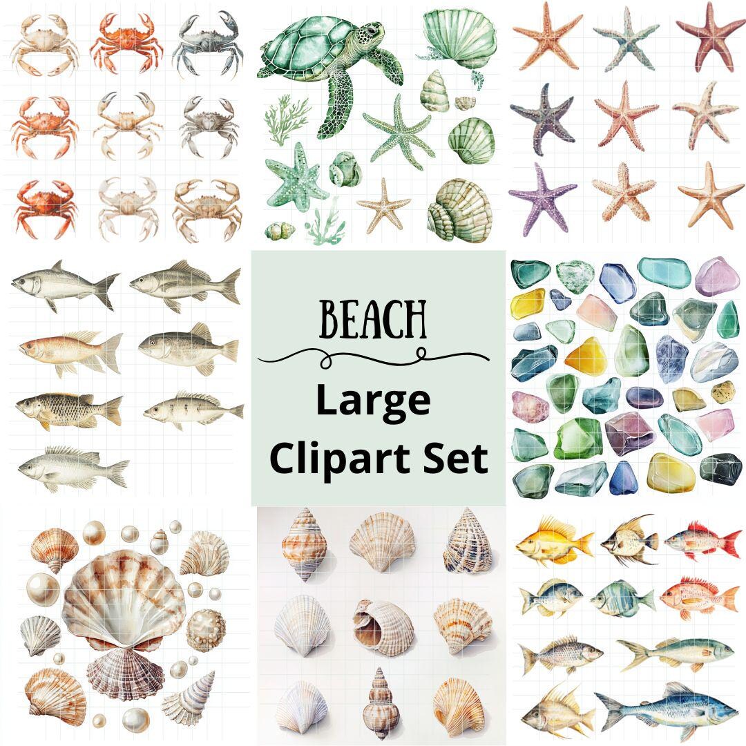 Beach Sealife Shells Turtle Sea Glass Star Fish Crab Postcard and ...
