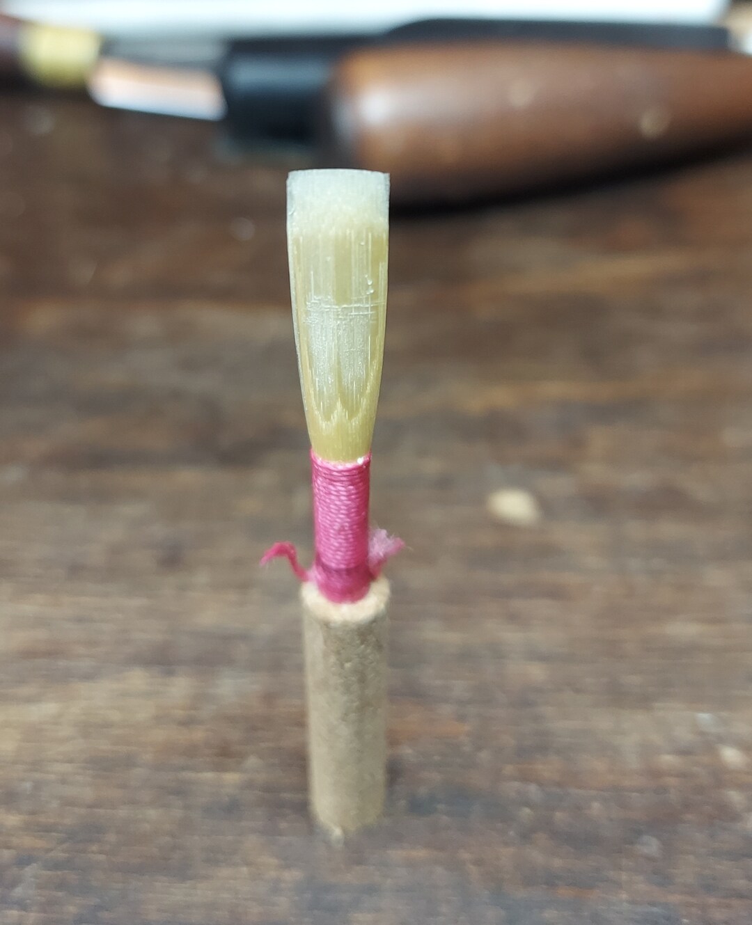 3 Student Reeds and Lesson Package - Etsy