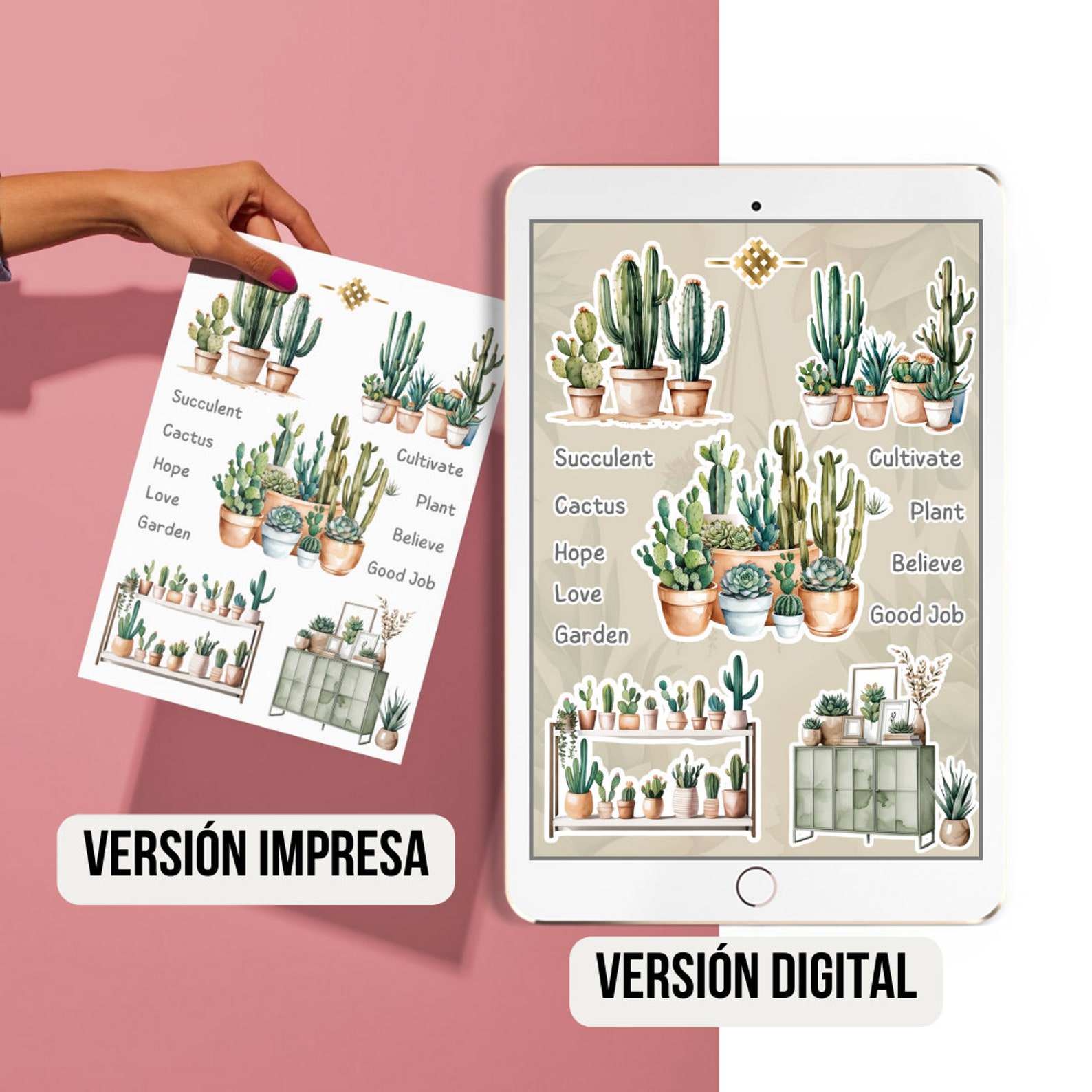 Cactus and Succulents Stickers Printable PNG A4 Size - Etsy