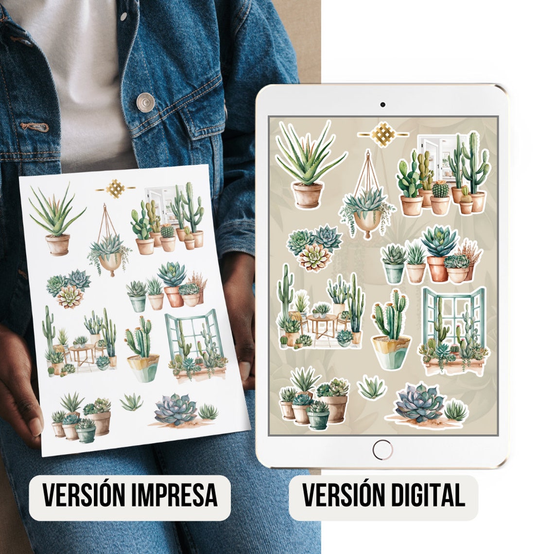 Cactus and Succulents Stickers Printable PNG A4 Size - Etsy