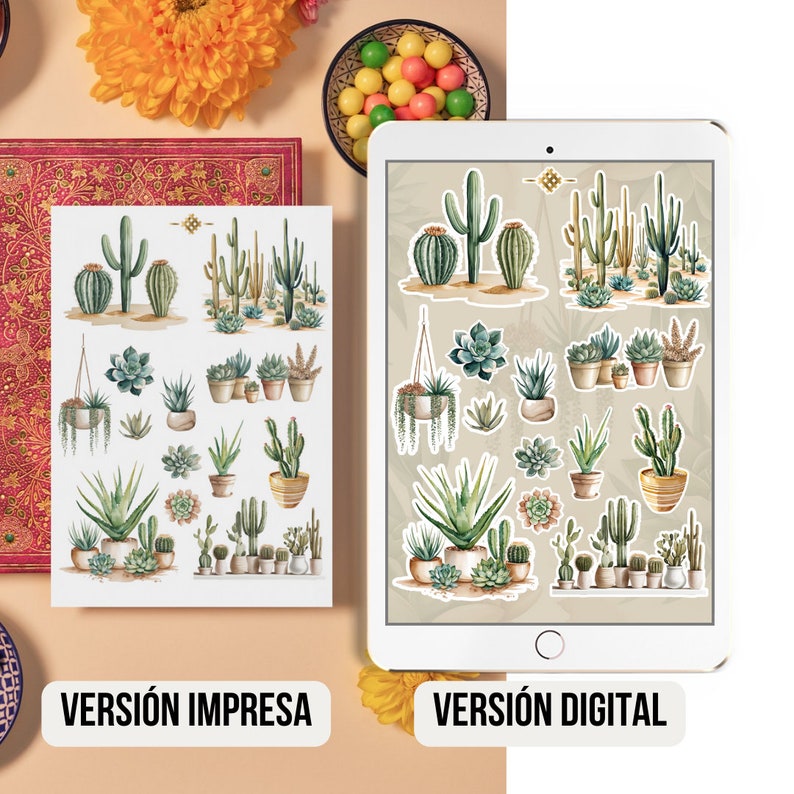 Cactus and Succulents Stickers Printable PNG A4 Size - Etsy