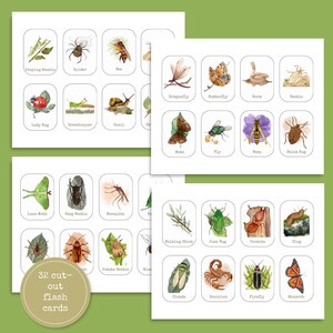 Printable Bugs Flash Cards, Preschool, Homeschool, Nature Study ...