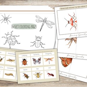 Nature Study Activities for Screen Free Time BUNDLE, Homeschool and ...