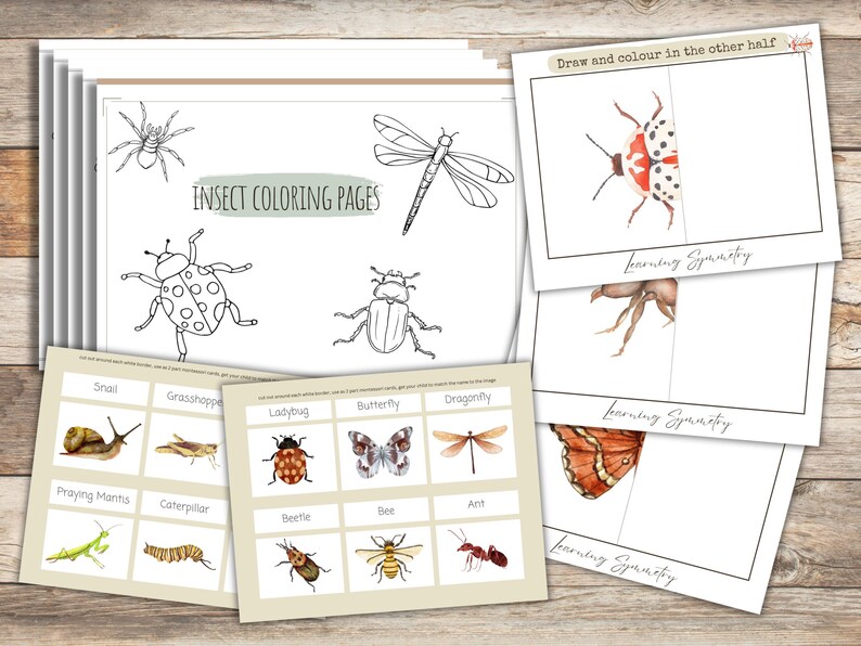 Nature Study Activities for Screen Free Time BUNDLE, Homeschool and ...