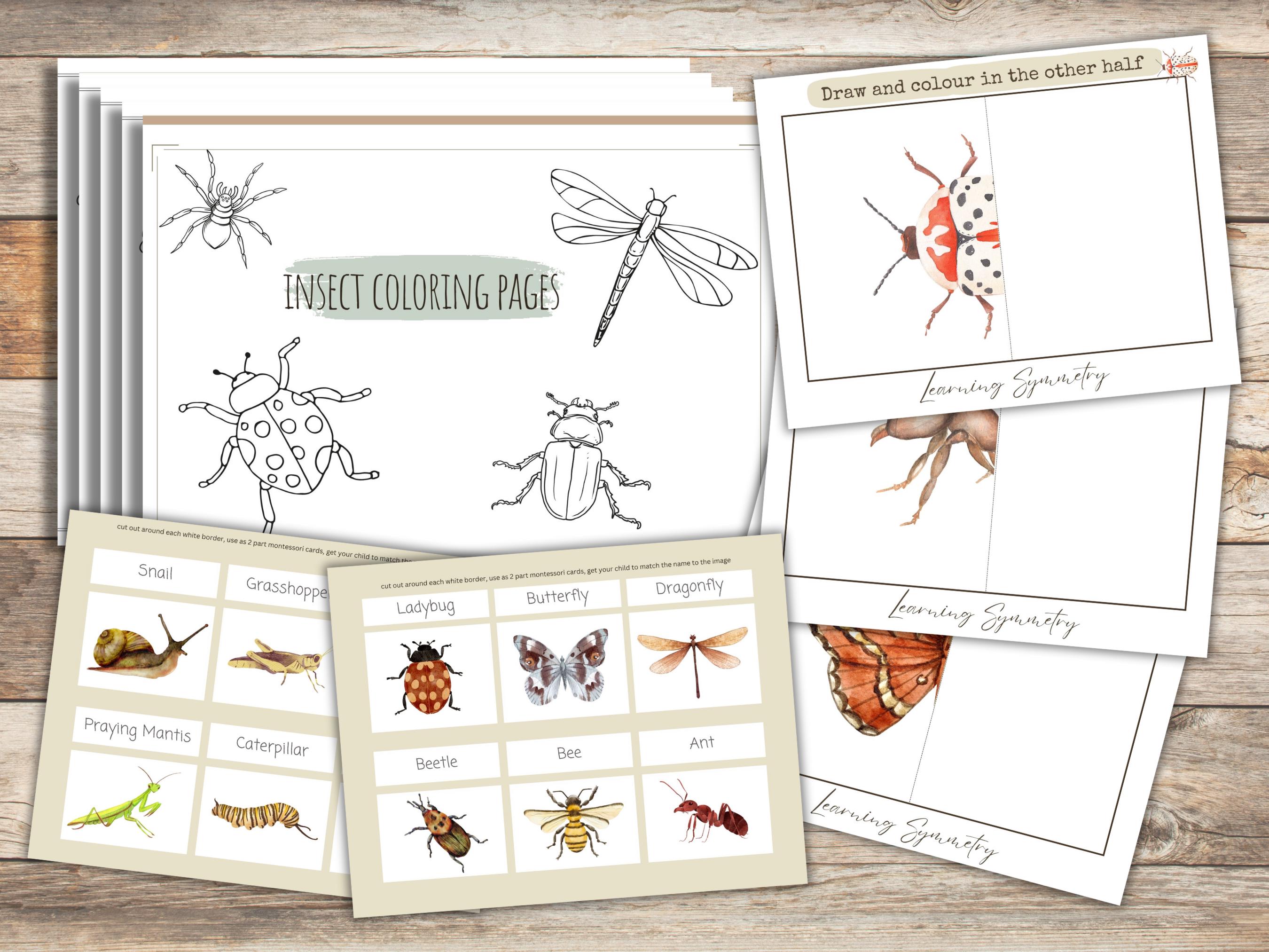 Nature Study Activities for Screen Free Time BUNDLE, Homeschool and ...