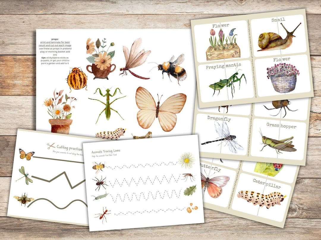 Nature Study Activities for Screen Free Time BUNDLE, Homeschool and ...