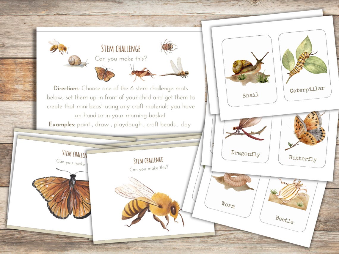 Nature Study Activities for Screen Free Time BUNDLE, Homeschool and ...