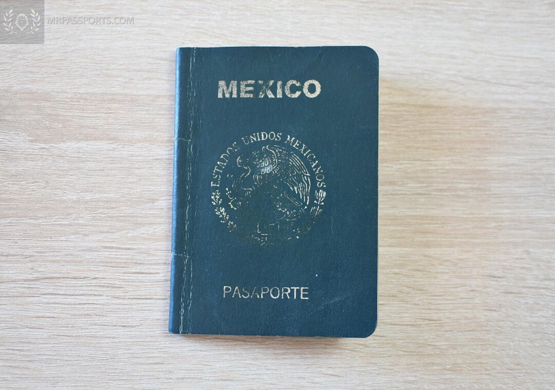 Mexico 2000-2010 Expired Passport With Lots of Visas, Very Rare! - Etsy