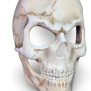 Realistic Skeletor/skeleton Mask With Movable Jaw. File by Mystery ...