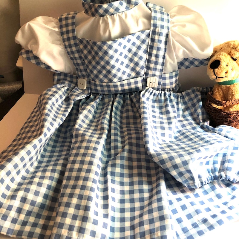Dorothy Costume - Etsy