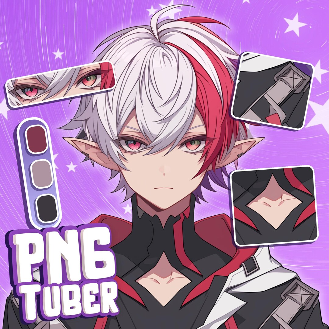 Custom Pngtuber Commission | Pngtuber Avatar | Pngtuber Character ...