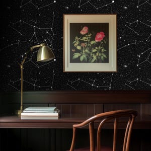 Constellation Map Wallpaper | Removable Star Chart Wall Art for Offices ...