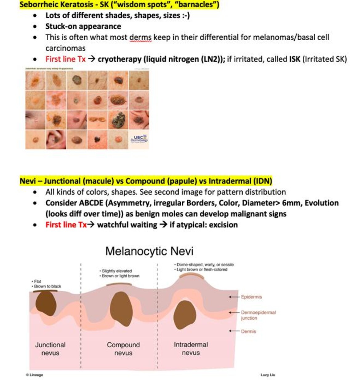 Dermatology Quick Reference Document - Etsy