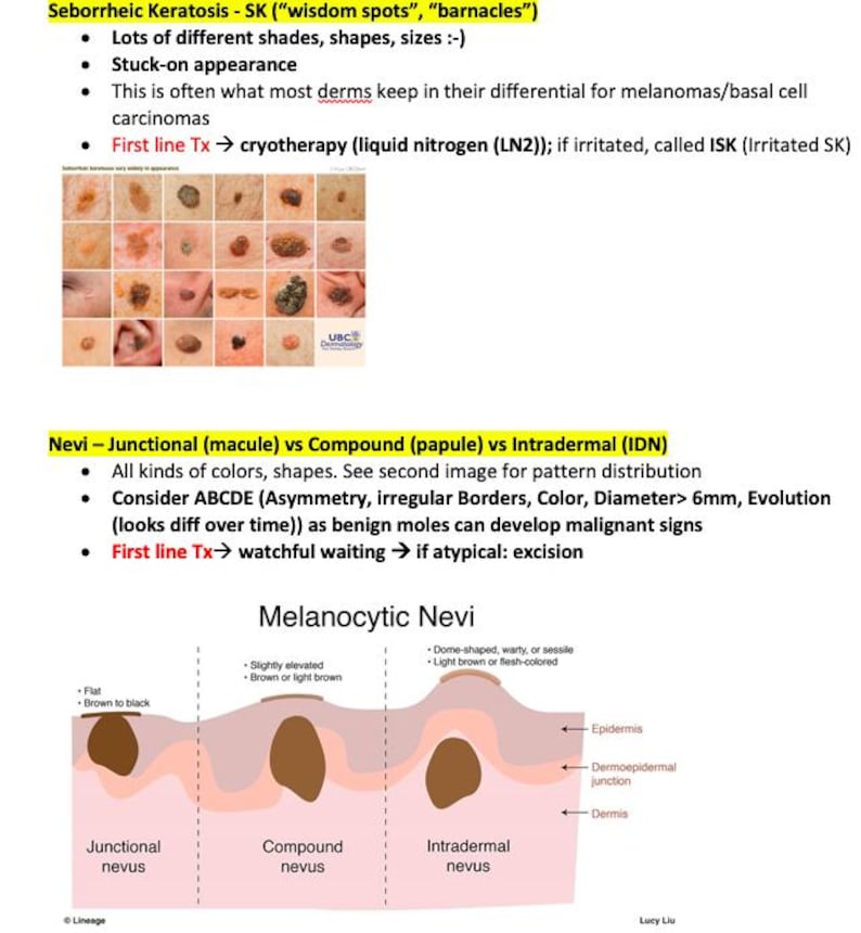 Dermatology Quick Reference Document - Etsy