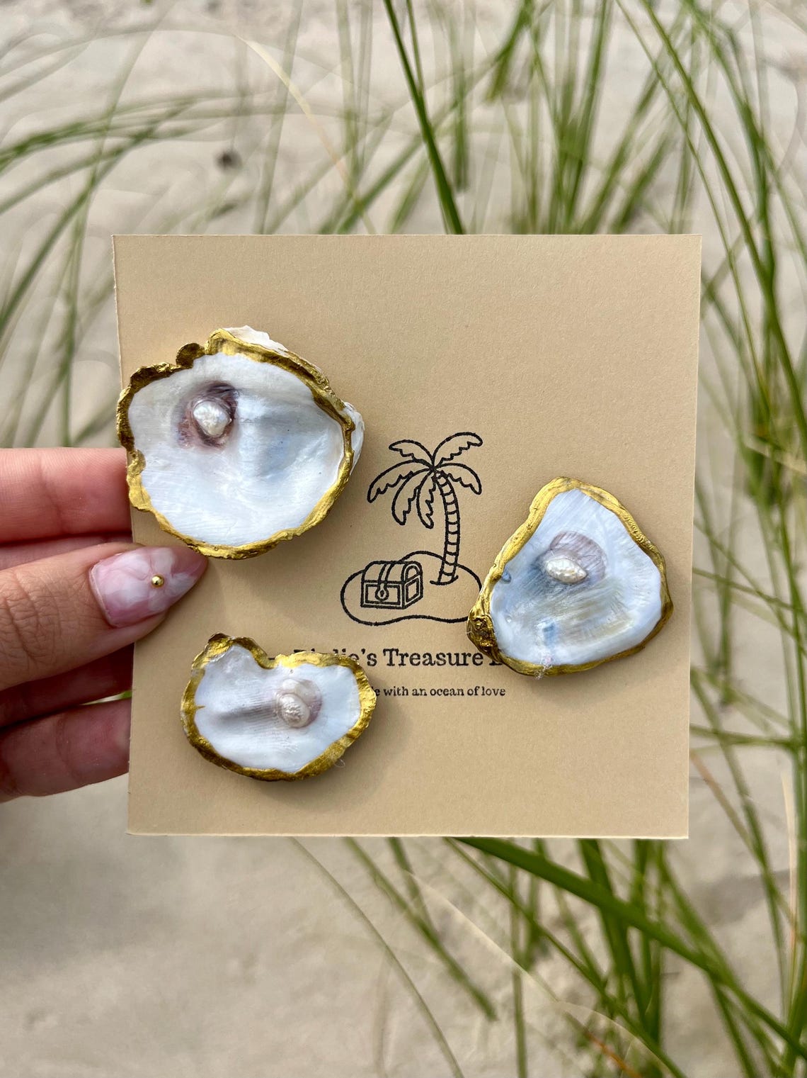 Oyster Shell Magnets Set of 3- Freshwater Pearl- Seashell Magnet ...