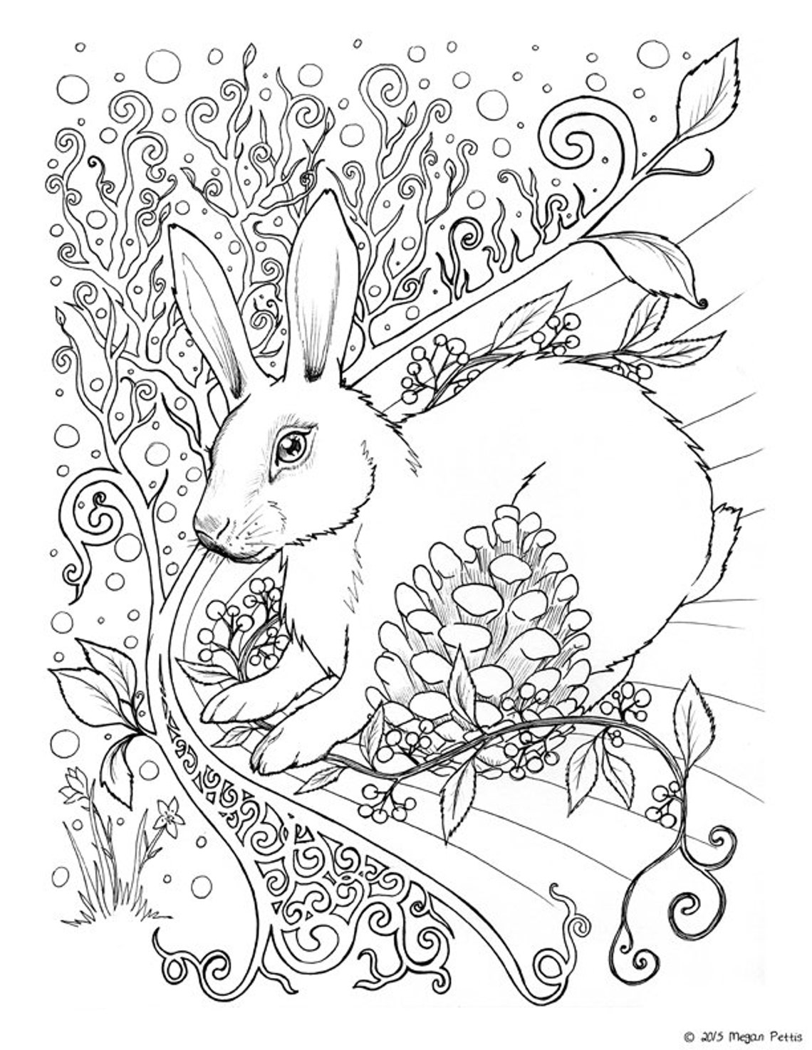 Forest Creatures Bundle, 4 Adult Coloring Book Pages, Instant Download ...