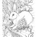 Forest Creatures Bundle, 4 Adult Coloring Book Pages, Instant Download ...
