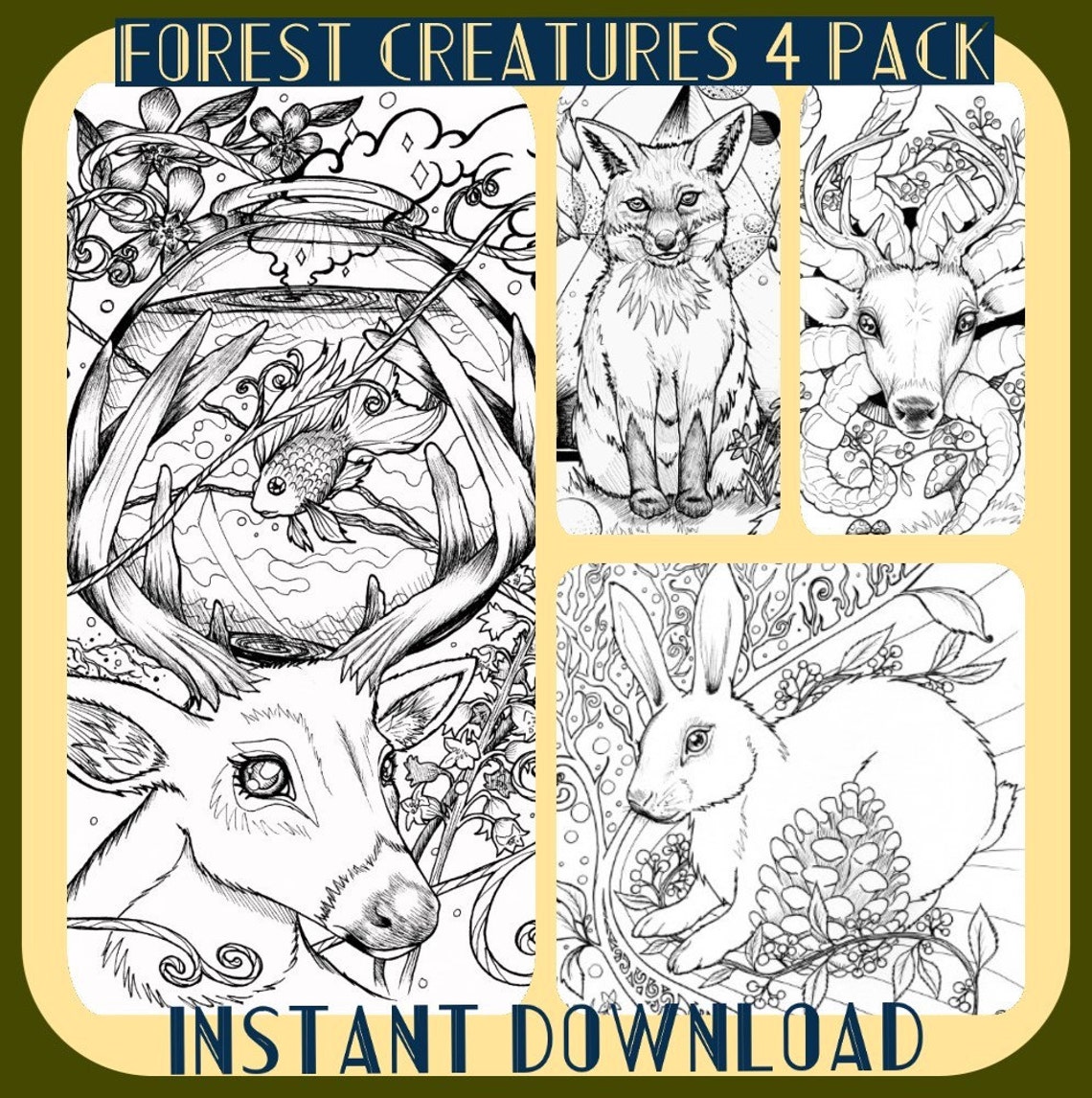 Forest Creatures Bundle, 4 Adult Coloring Book Pages, Instant Download ...
