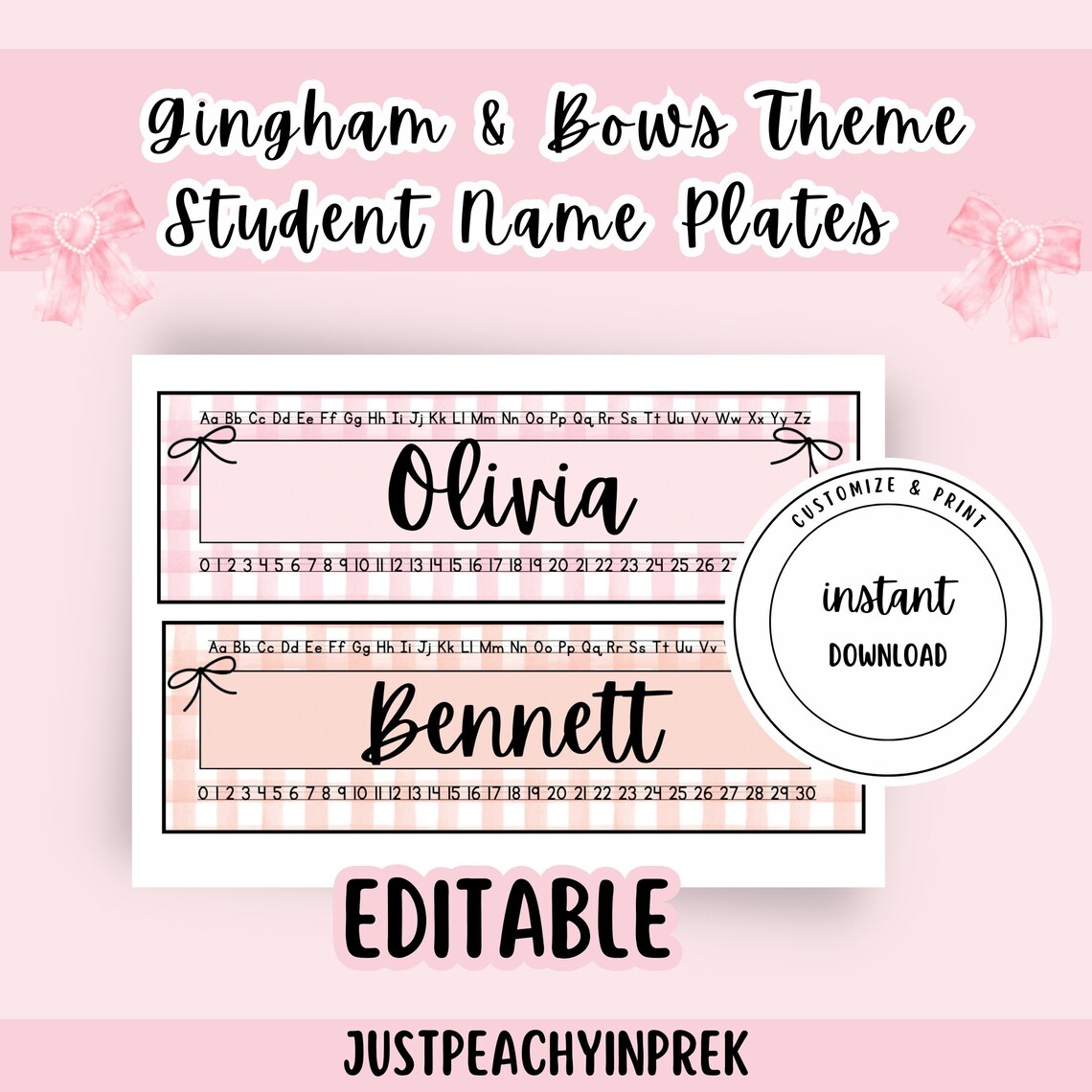 Student Name Desk Plates in Gingham and Bows Theme Classroom Decor Back ...