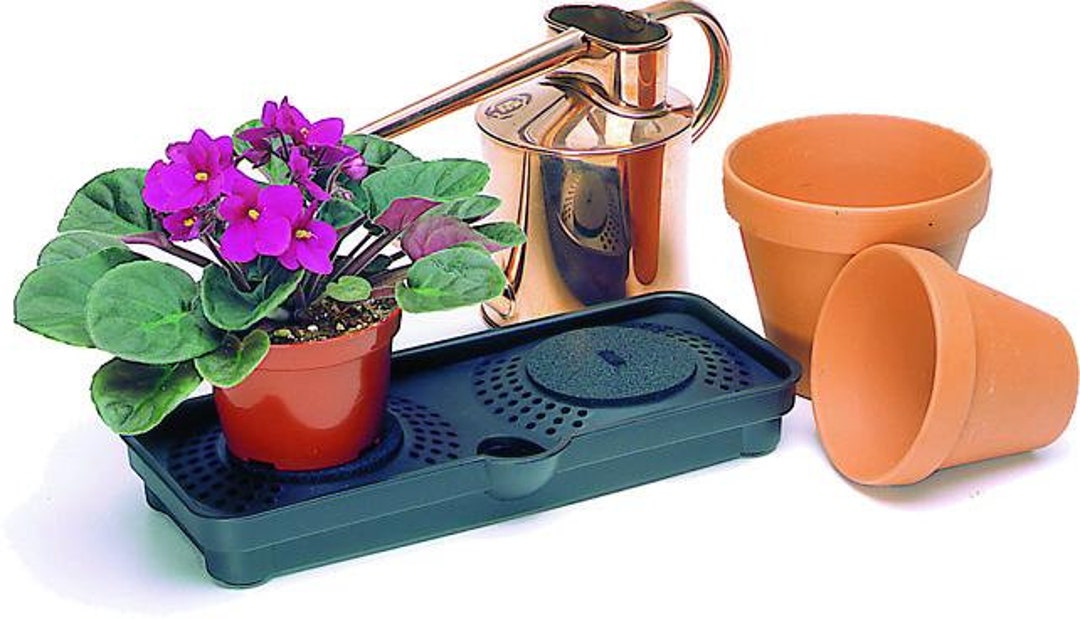 Self Watering Plant Stand - Etsy